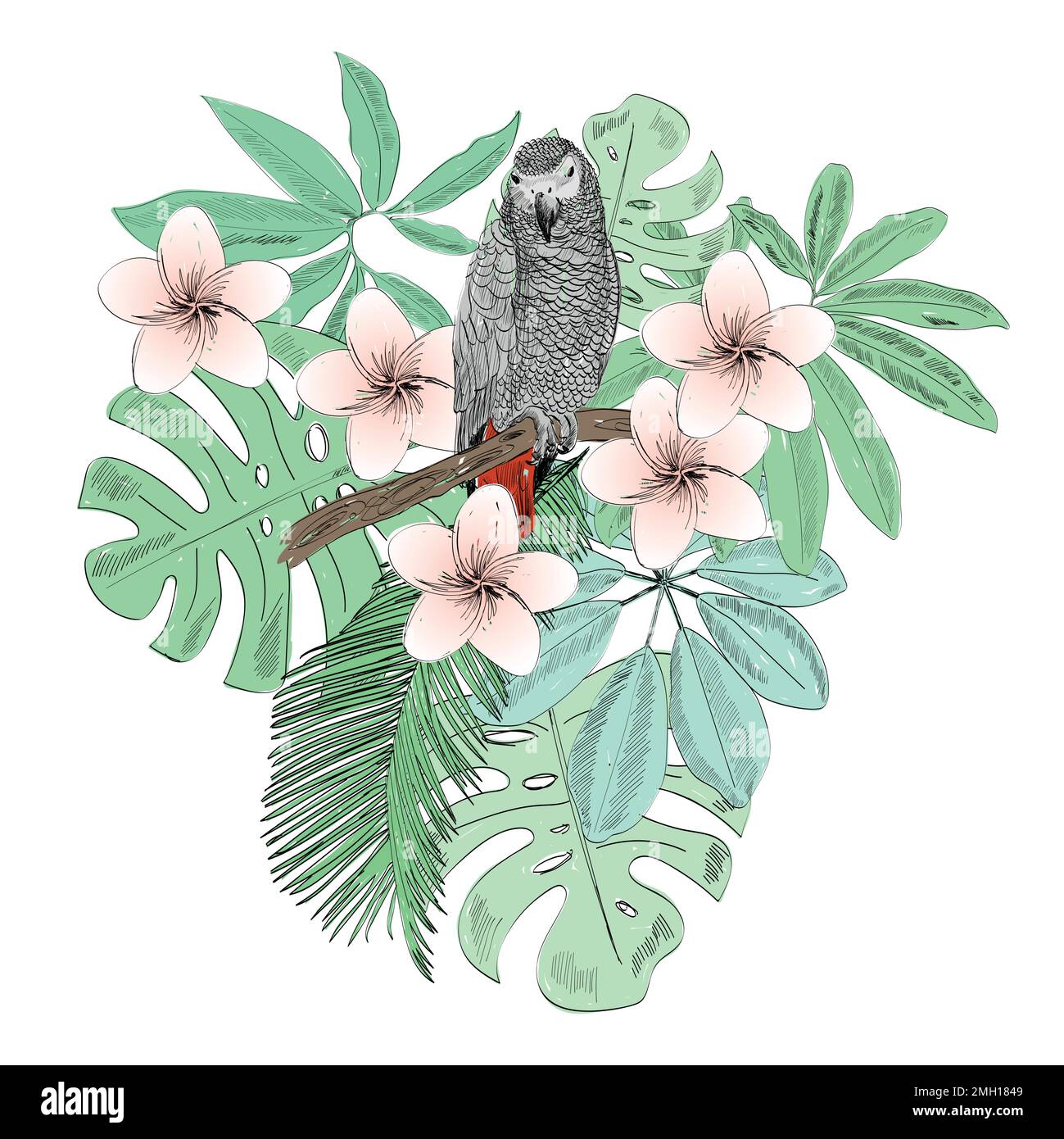 Tropical vector illustration Stock Vector Image & Art - Alamy