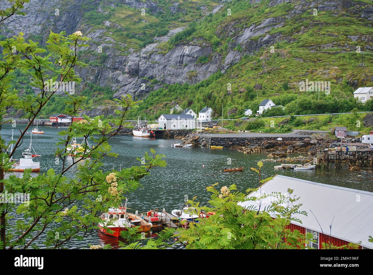 port of Moskenes is a typical little fishing harbor on the Lofoten ...