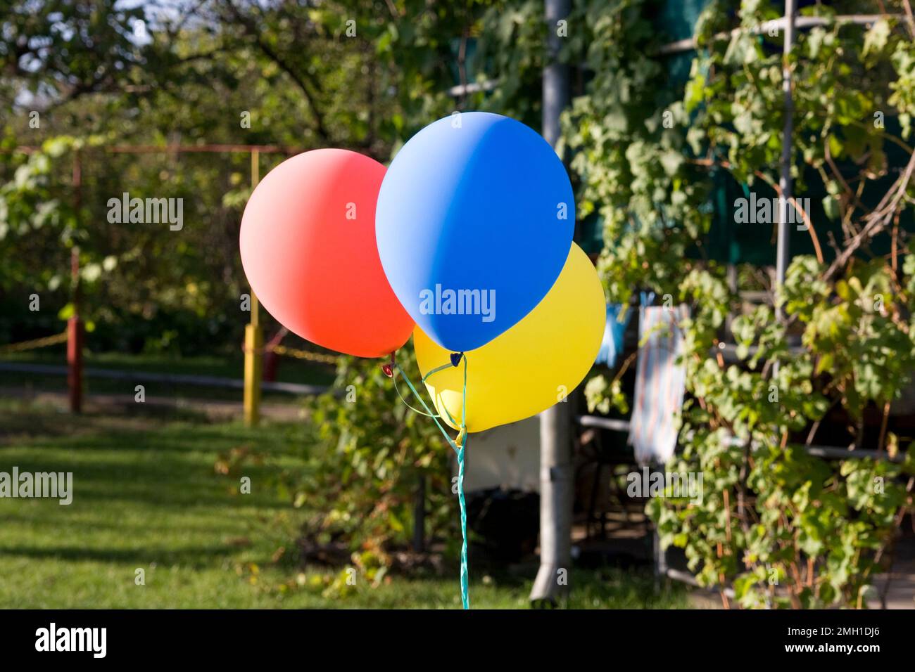 Red, blue and yellow inflated balloons on a string Stock Photo - Alamy