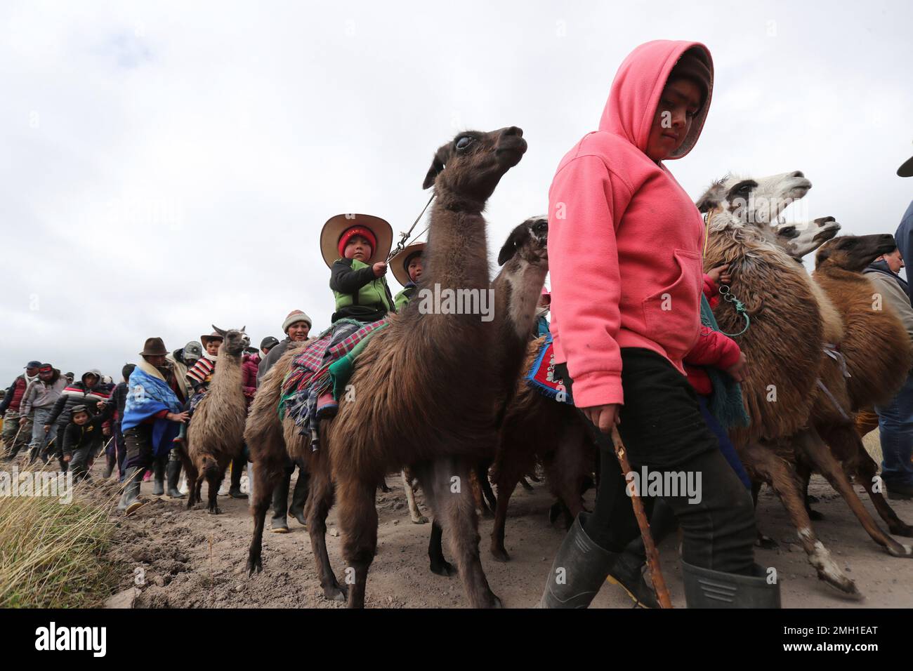 Children arrive with their families for llama races at the Llanganates ...