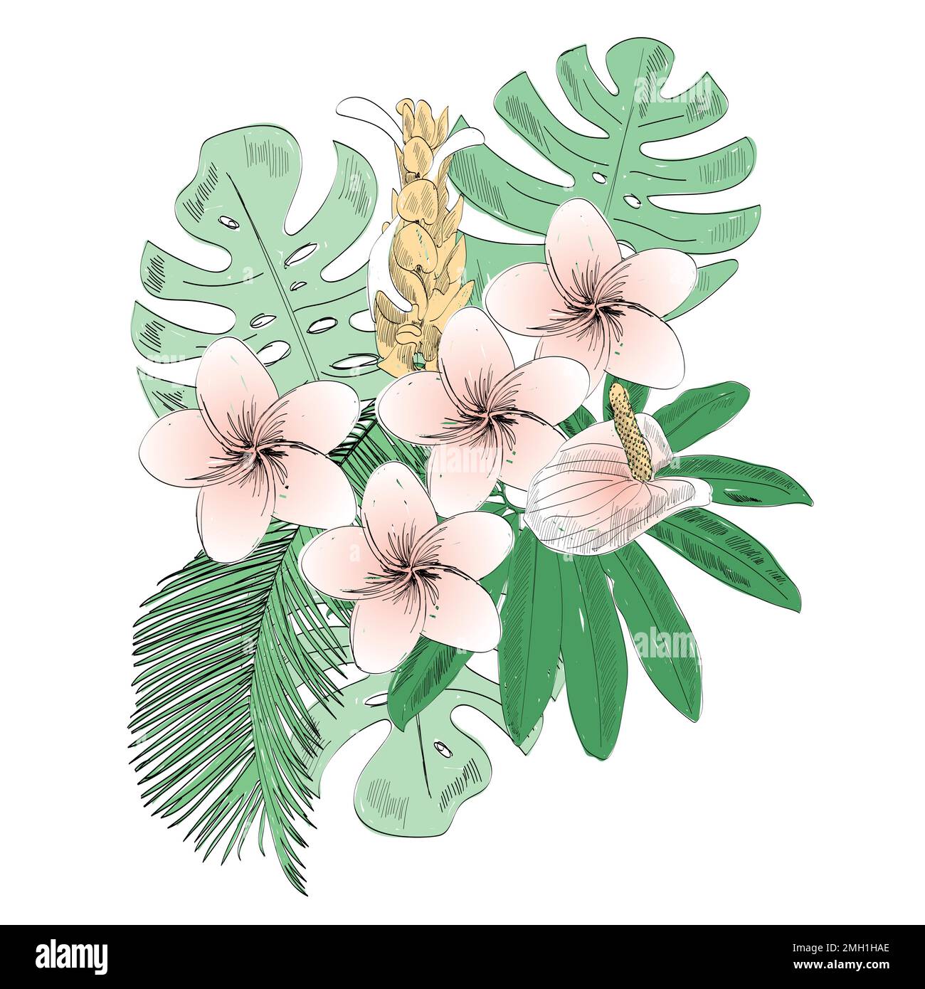 Tropical vector illustration Stock Vector Image & Art - Alamy