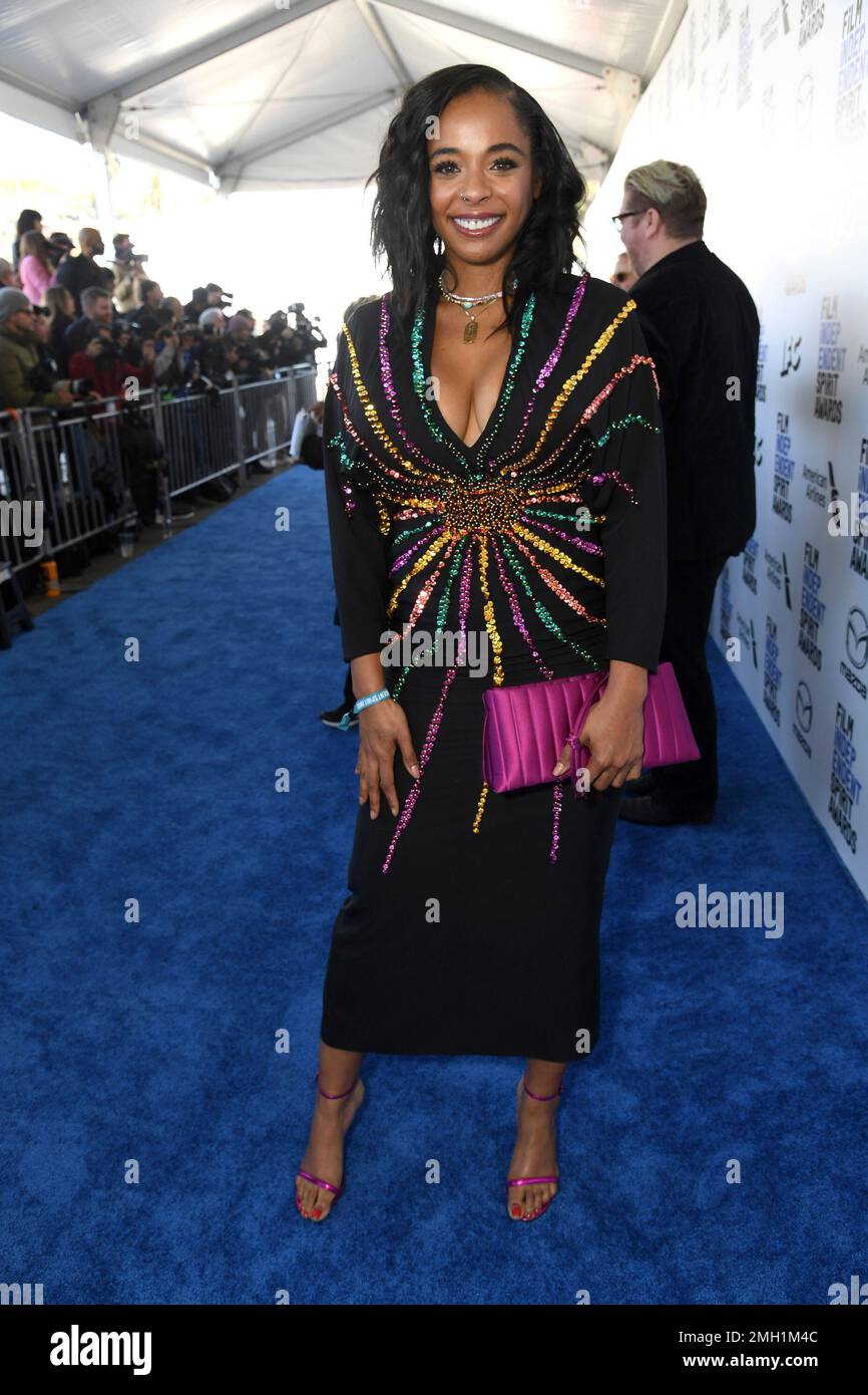 Kimberly Steward arrives at the 35th Film Independent Spirit Awards on ...