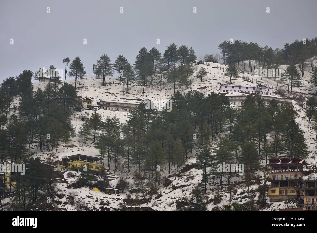 Shimla snow hi-res stock photography and images - Alamy