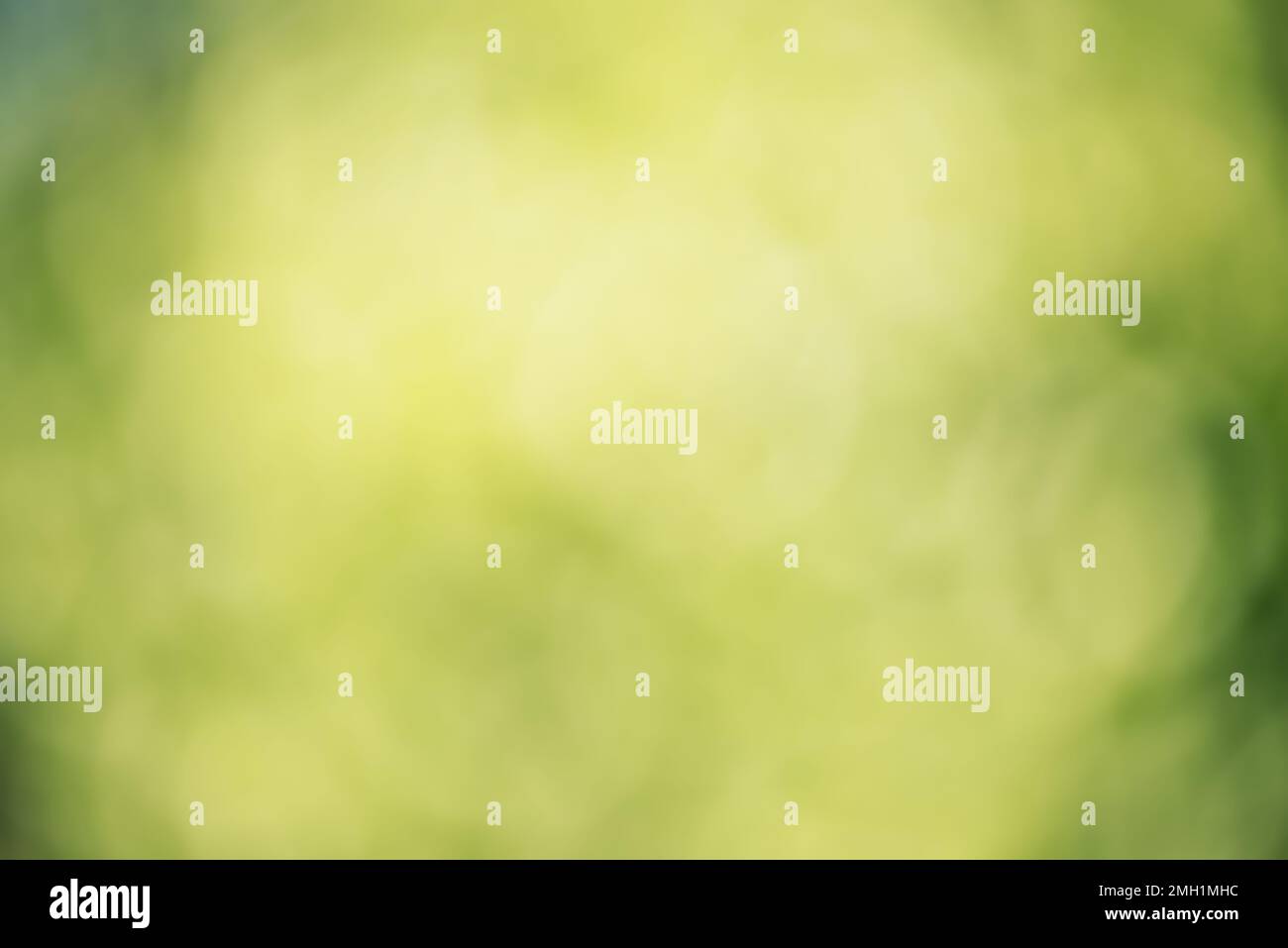 Defocused green natural background. Abstract background defocus light ...