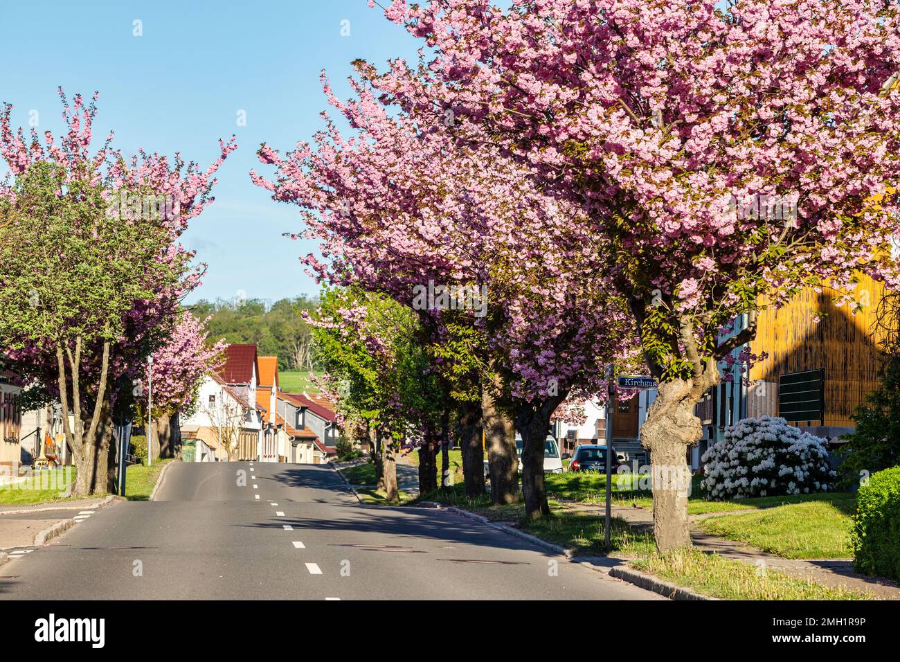 Siptenfelde Ortsdurchfahrt B242 Harz Stock Photo - Alamy