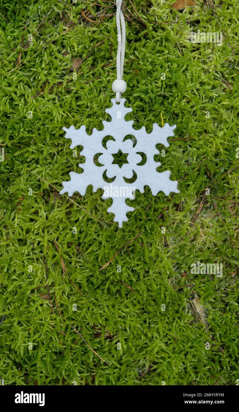 Star surface hi-res stock photography and images - Alamy