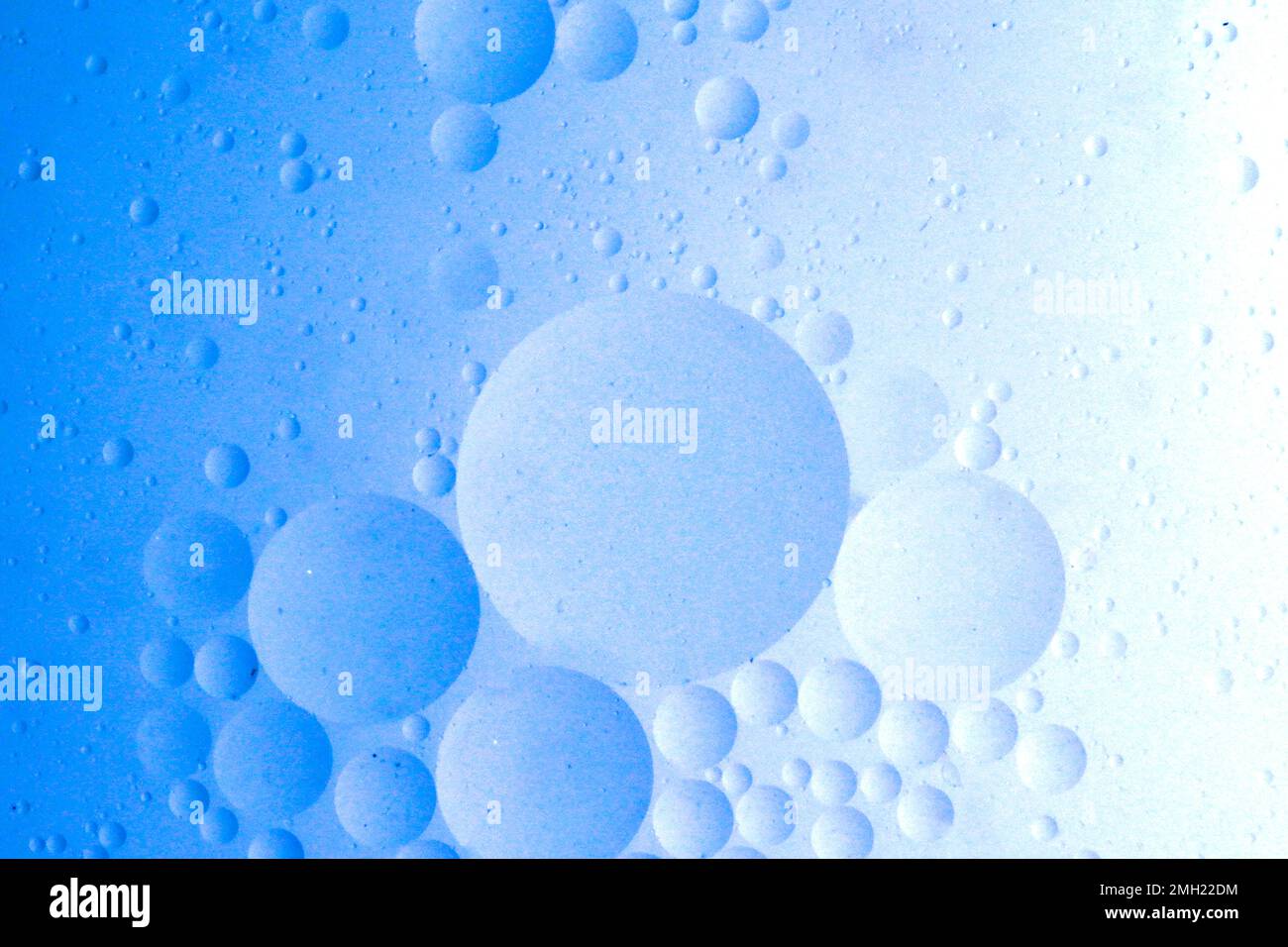 Macro of oil and water bubbles creating a scientific image of cell and ...