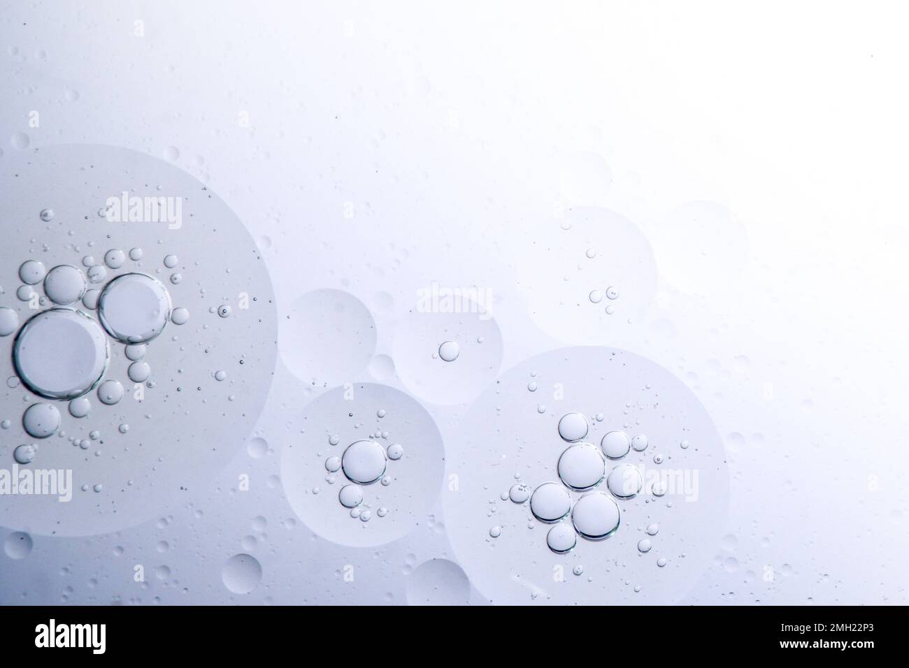 Macro of oil and water bubbles creating a scientific image of cell and ...