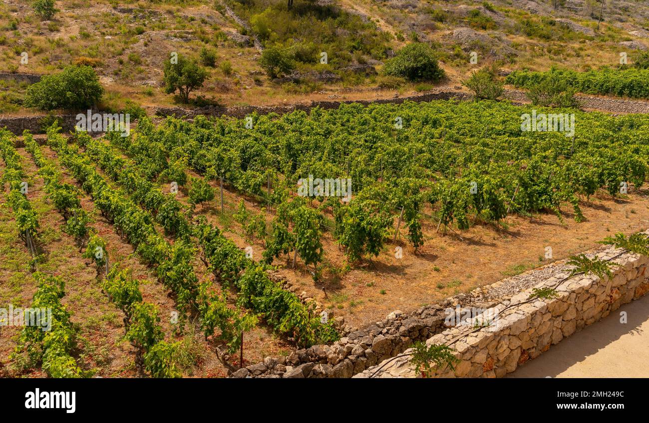 Vislander winery hi-res stock photography and images - Alamy