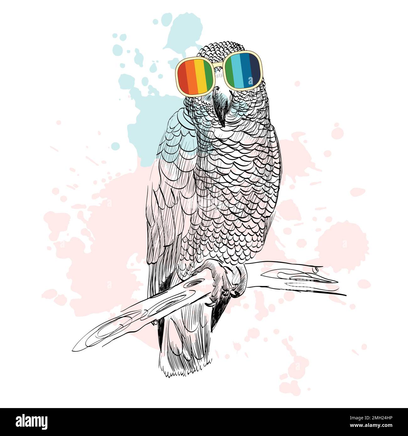 Parrot illustration vintage print Cut Out Stock Images & Pictures - Alamy