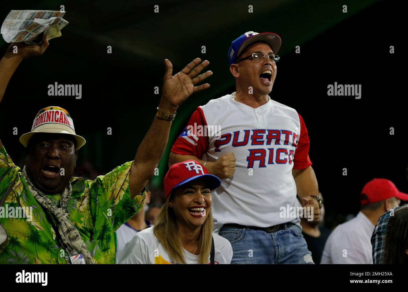 Puerto Rico fans cheer on their team during a Caribbean Series baseball ...