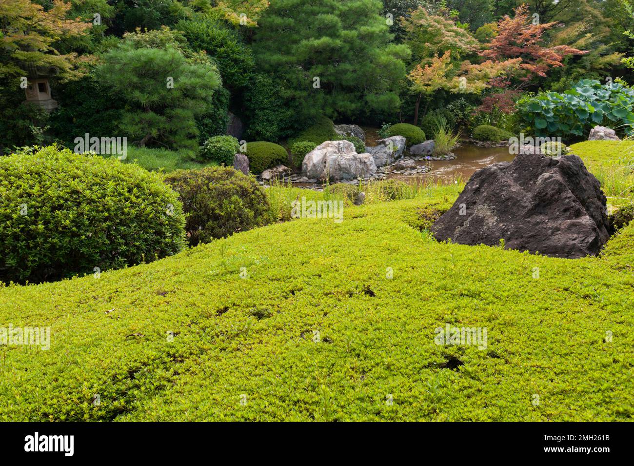 Taizo-in Temple's Yoko-en garden in the summer, Kyoto, Japan Stock ...