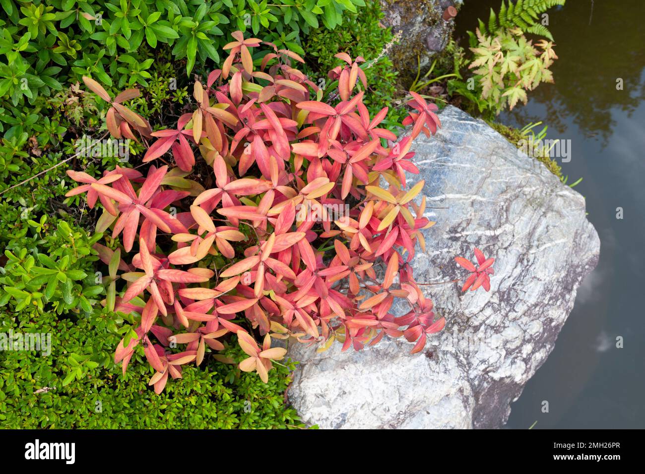 Taizo in temple hi-res stock photography and images - Alamy
