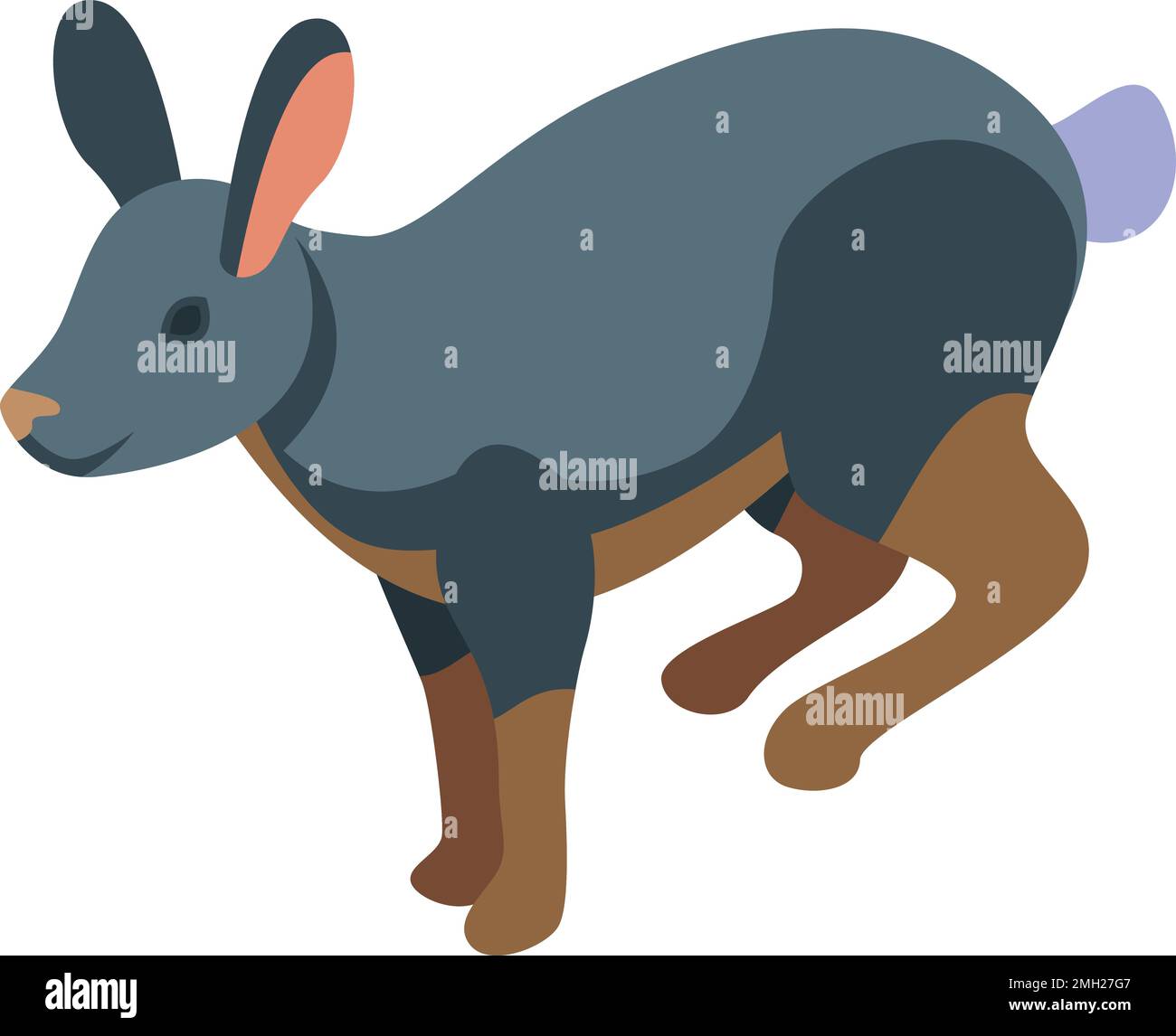 Pet rabbit icon isometric vector. Easter animal. Rodent breed Stock ...