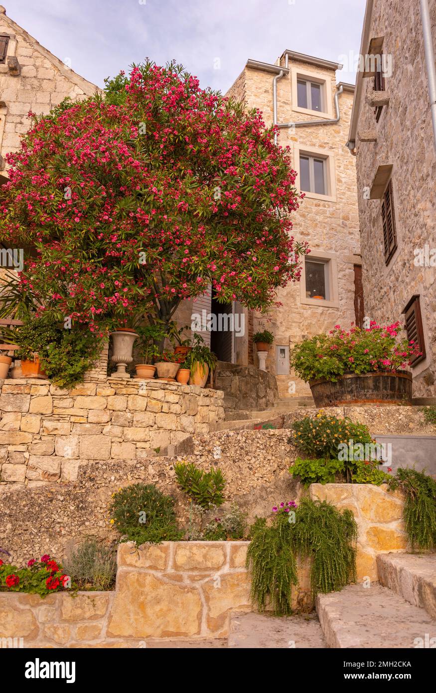 Charming vis hi-res stock photography and images - Alamy