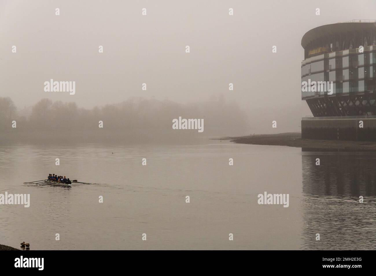 A rowing 8 training on The River Thames on a misty morning, passing the ...