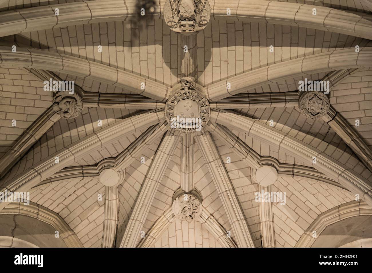 Medieval ceiling design hi-res stock photography and images - Alamy