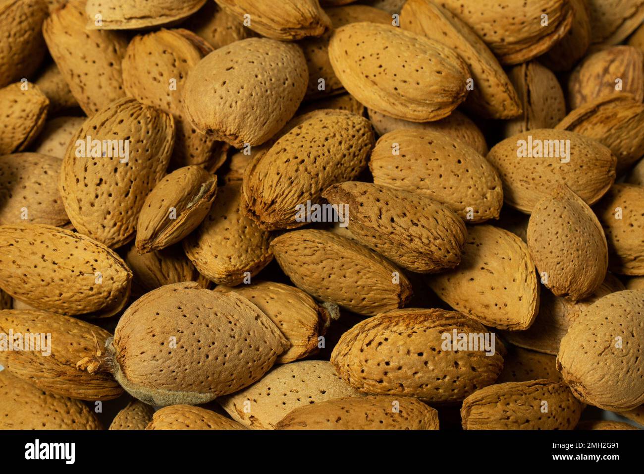Whole almonds in shell closeup against white background Stock Photo - Alamy