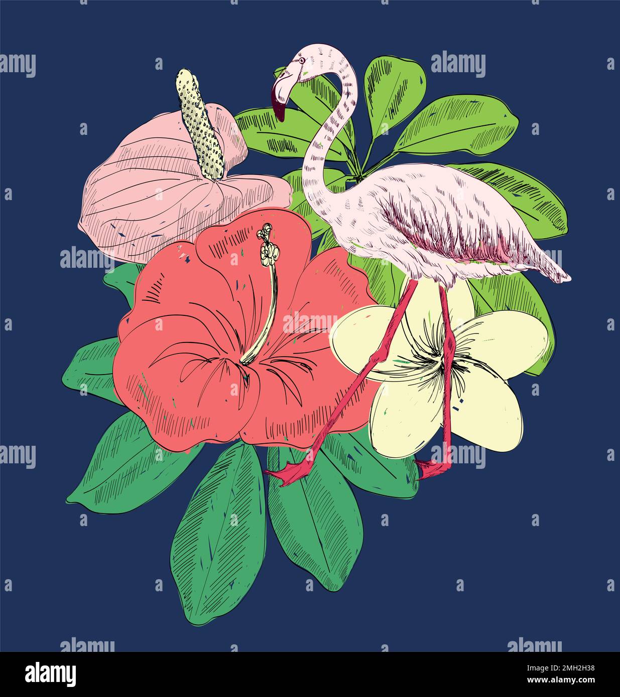 Tropical vector illustration Stock Vector Image & Art - Alamy