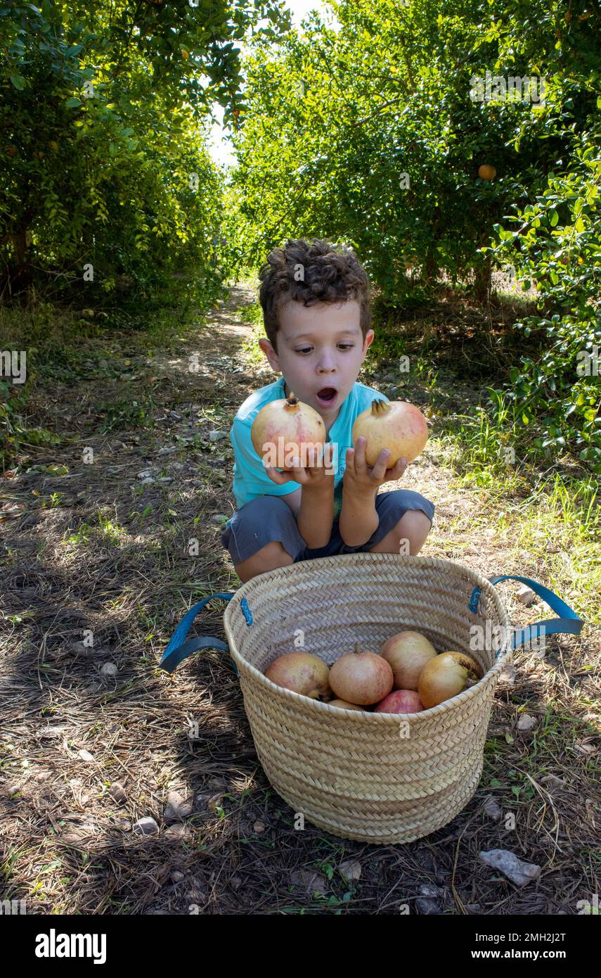Boy make basket hi-res stock photography and images - Alamy