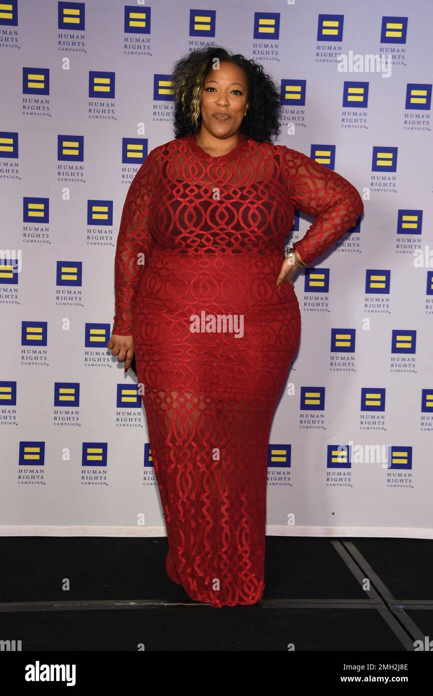 Singer Frenchie Davis appears at the 19th Annual Human Rights Campaign ...