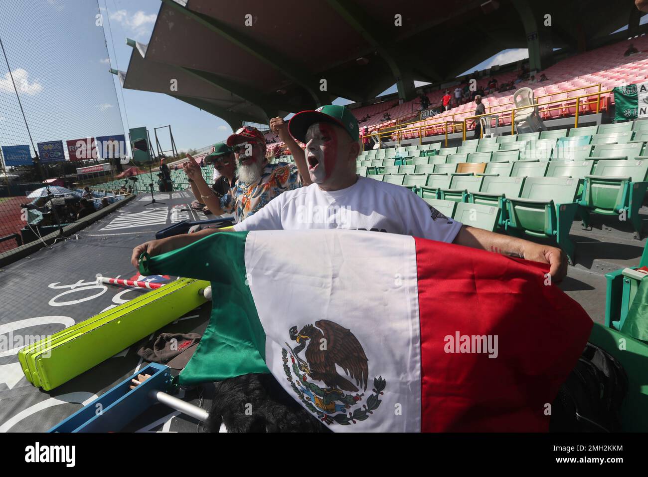 Fans of Mexico's baseball team cheer during a Caribbean Series game ...