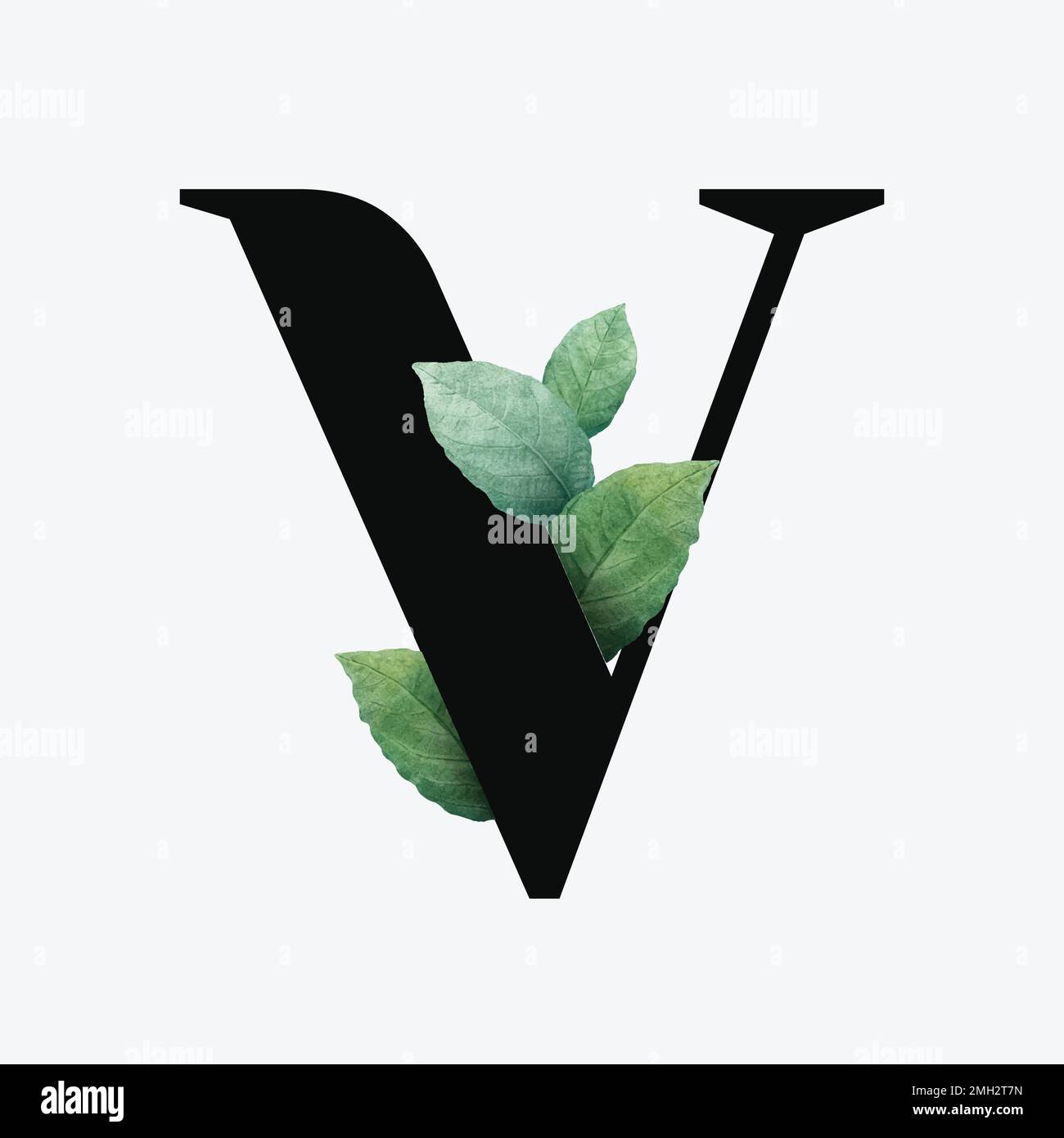 Botanical capital letter V vector Stock Vector Image & Art - Alamy