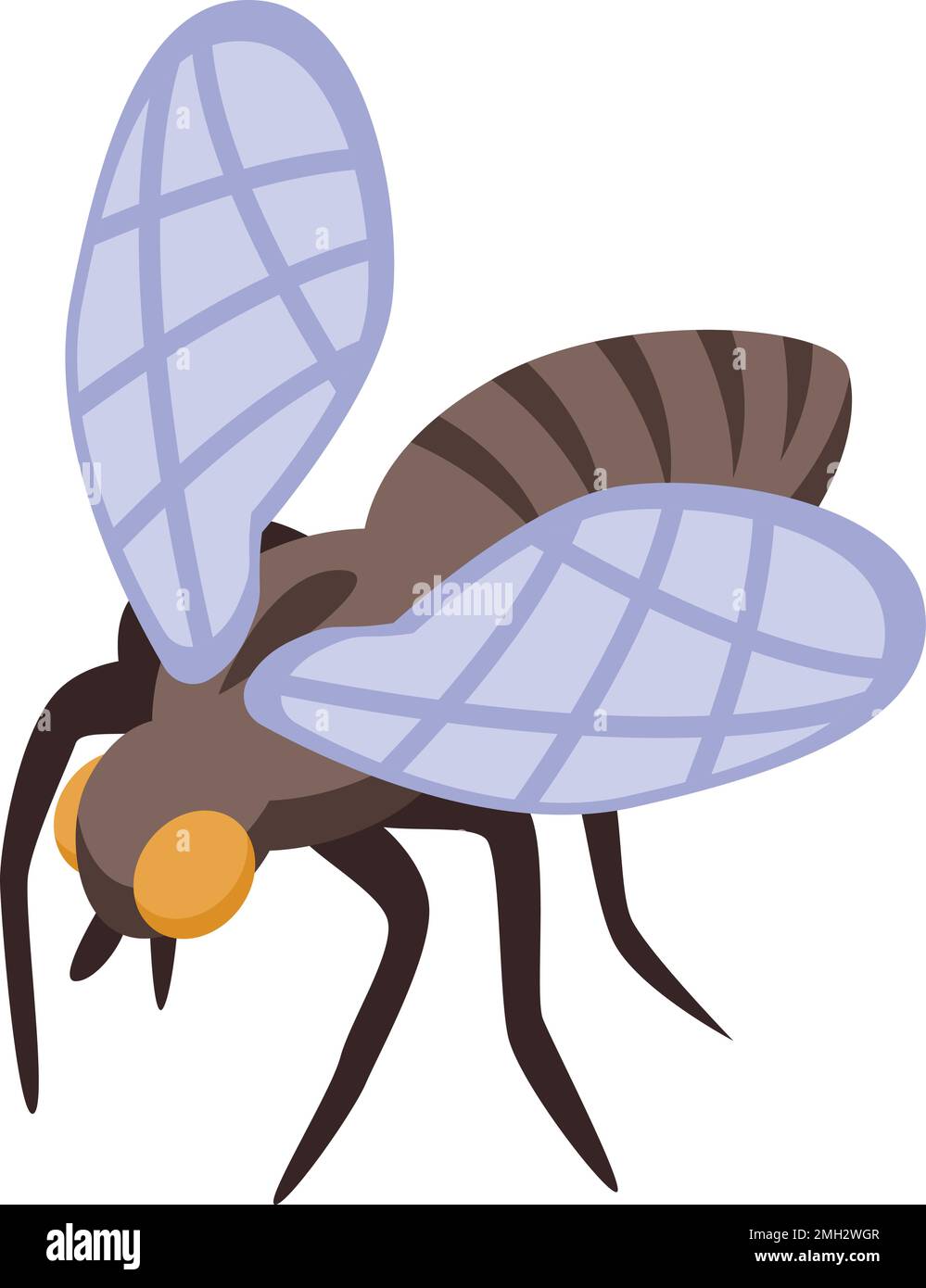 Nature insect icon isometric vector. Fly tsetse. Summer insect Stock ...