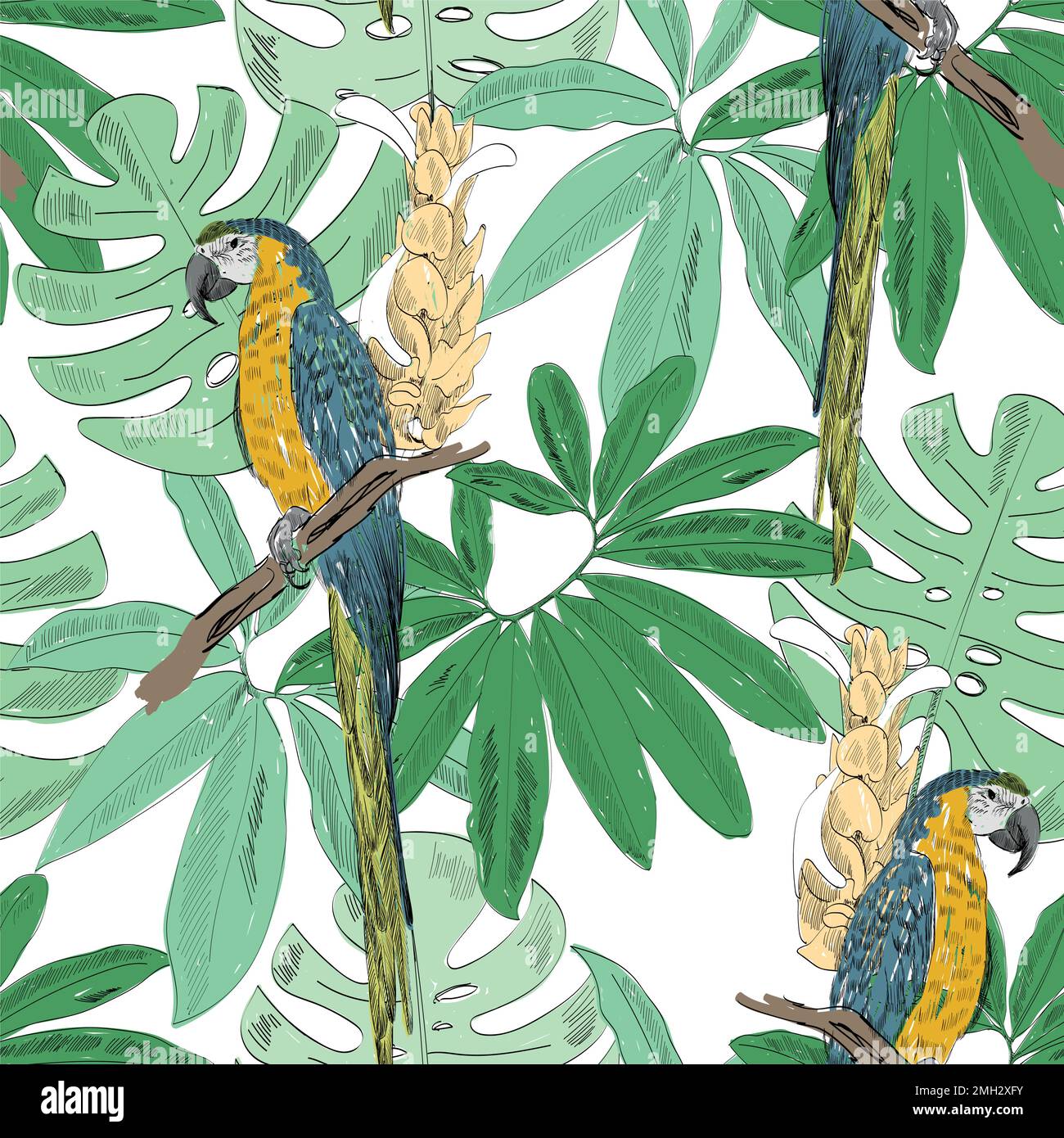 Tropical seamless pattern Stock Vector Image & Art - Alamy