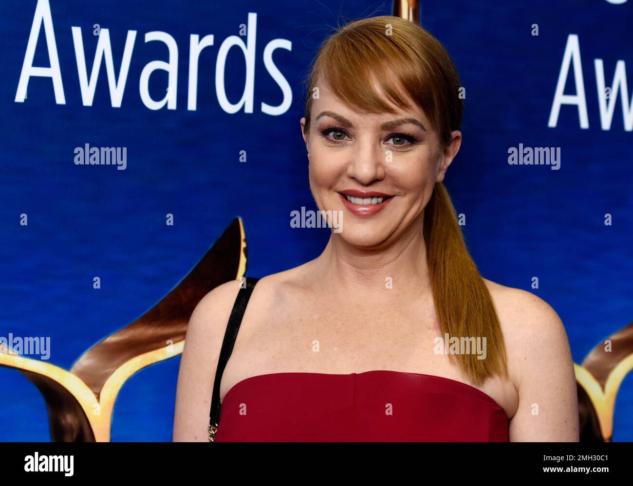 Actress/writer Wendi McLendon-Covey poses at the 2020 Writers Guild ... Actress/writer Wendi McLendon-Covey poses at the 2020 Writers Guild ...