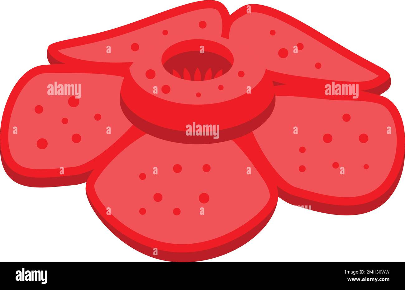 Giant rafflesia malaysia Cut Out Stock Images & Pictures - Alamy
