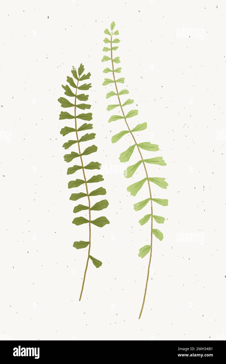 Simple fern leaf Stock Vector Images - Alamy
