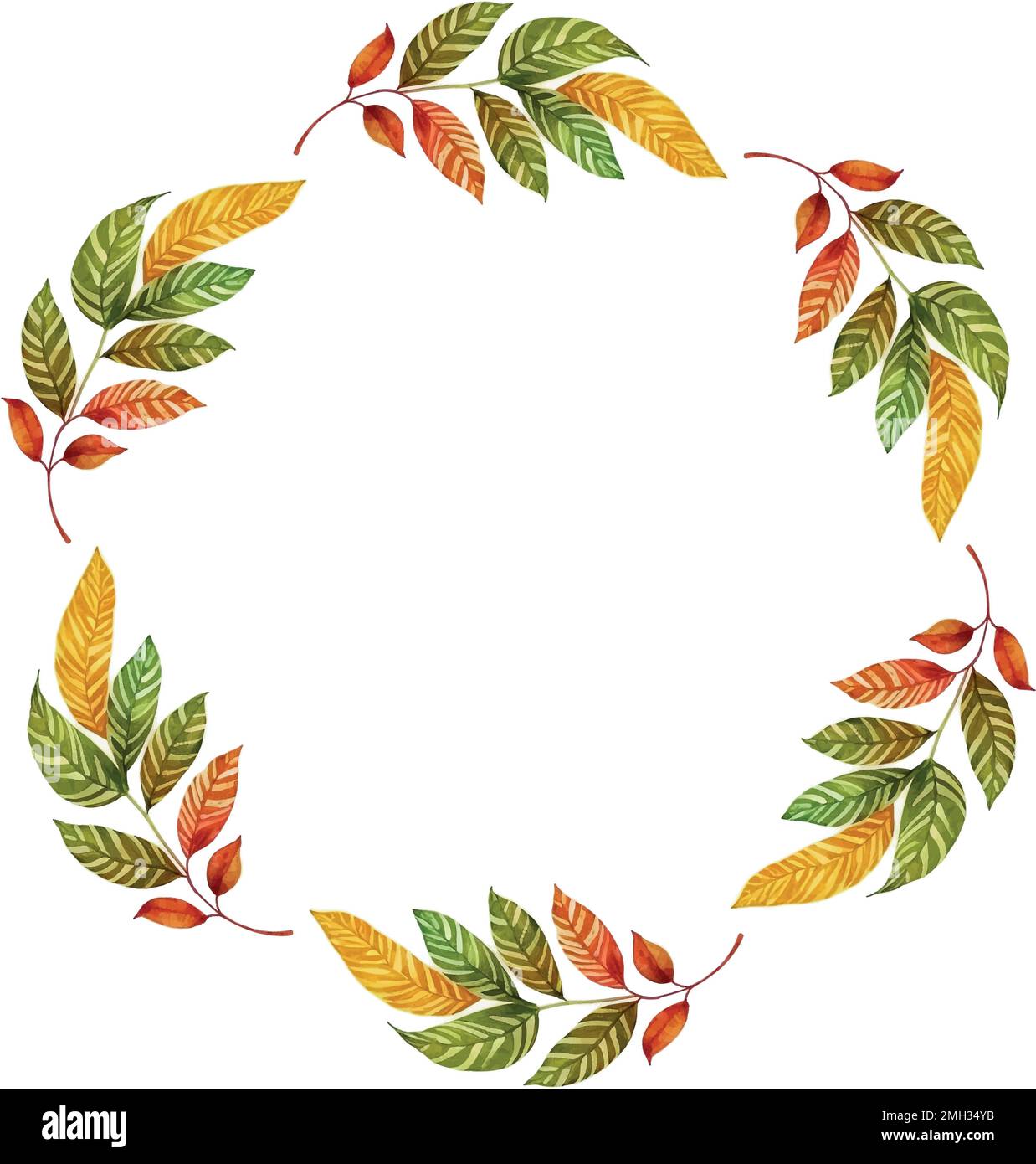 Floral wreath. Botanical illustrations. Watercolor frame Stock Vector ...