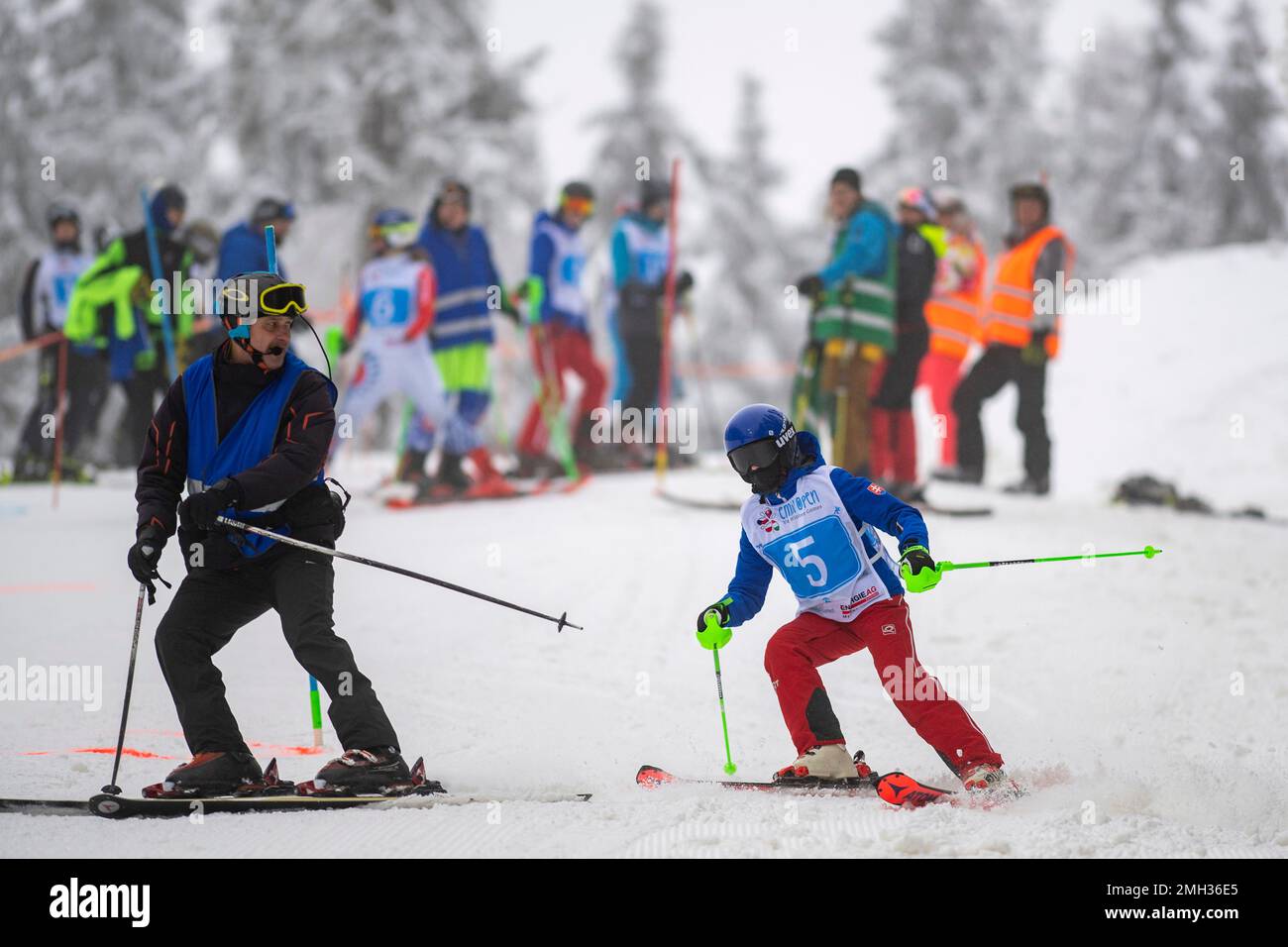 Lipno Nad Vltavou, Czech Republic. 26th Jan, 2023. Blind skier Viktoria ...