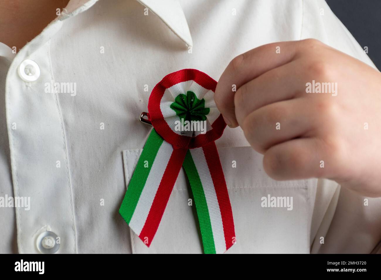 Hungarian tricolor cockade with white shirt Stock Photo - Alamy