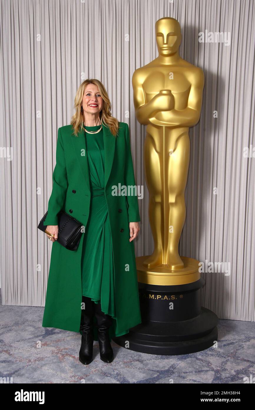 Actress Laura Dern poses for photographers upon arrival at the Academy ...