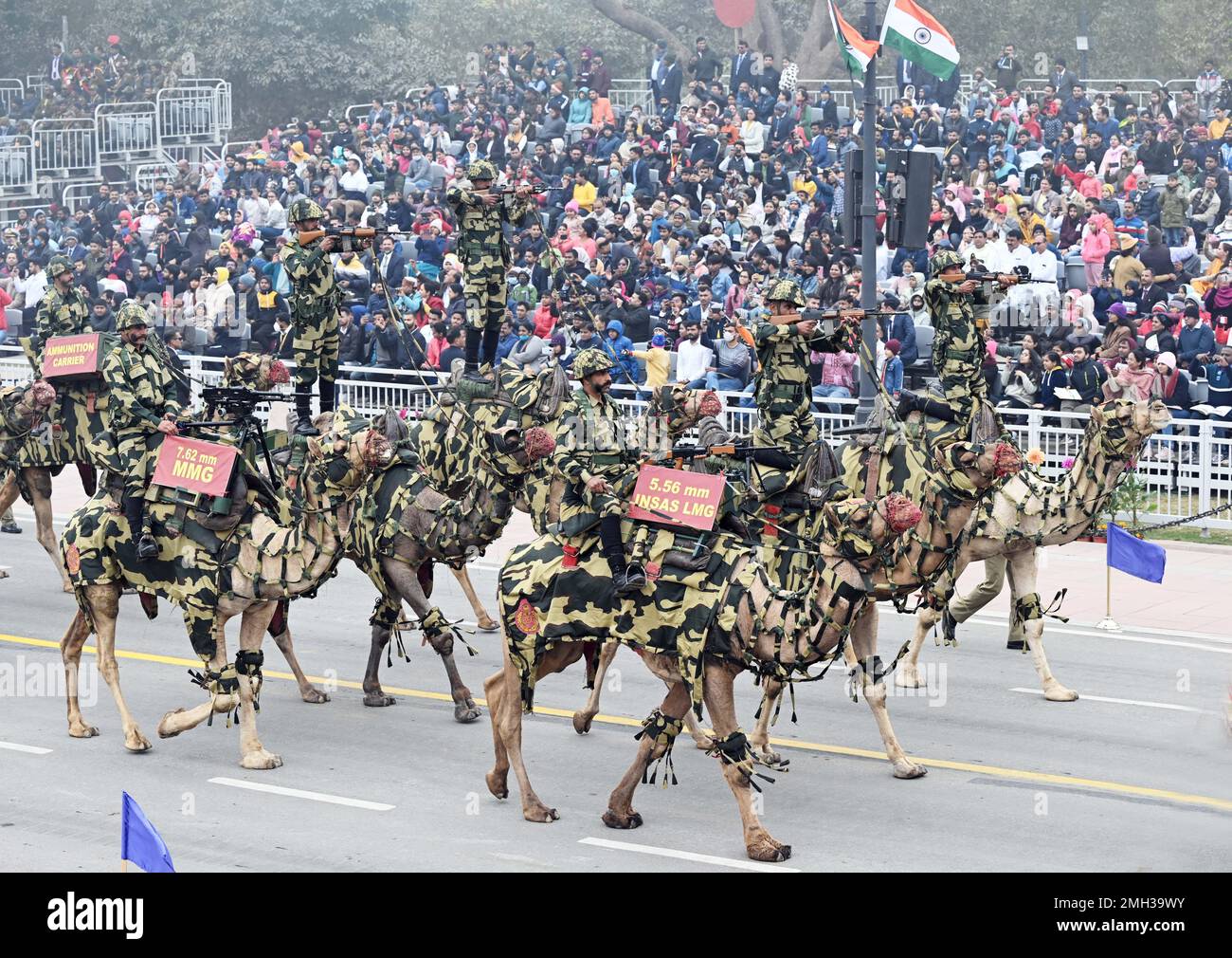 NEW DELHI, INDIA - JANUARY 26: Camel mounted contingent of Border ...