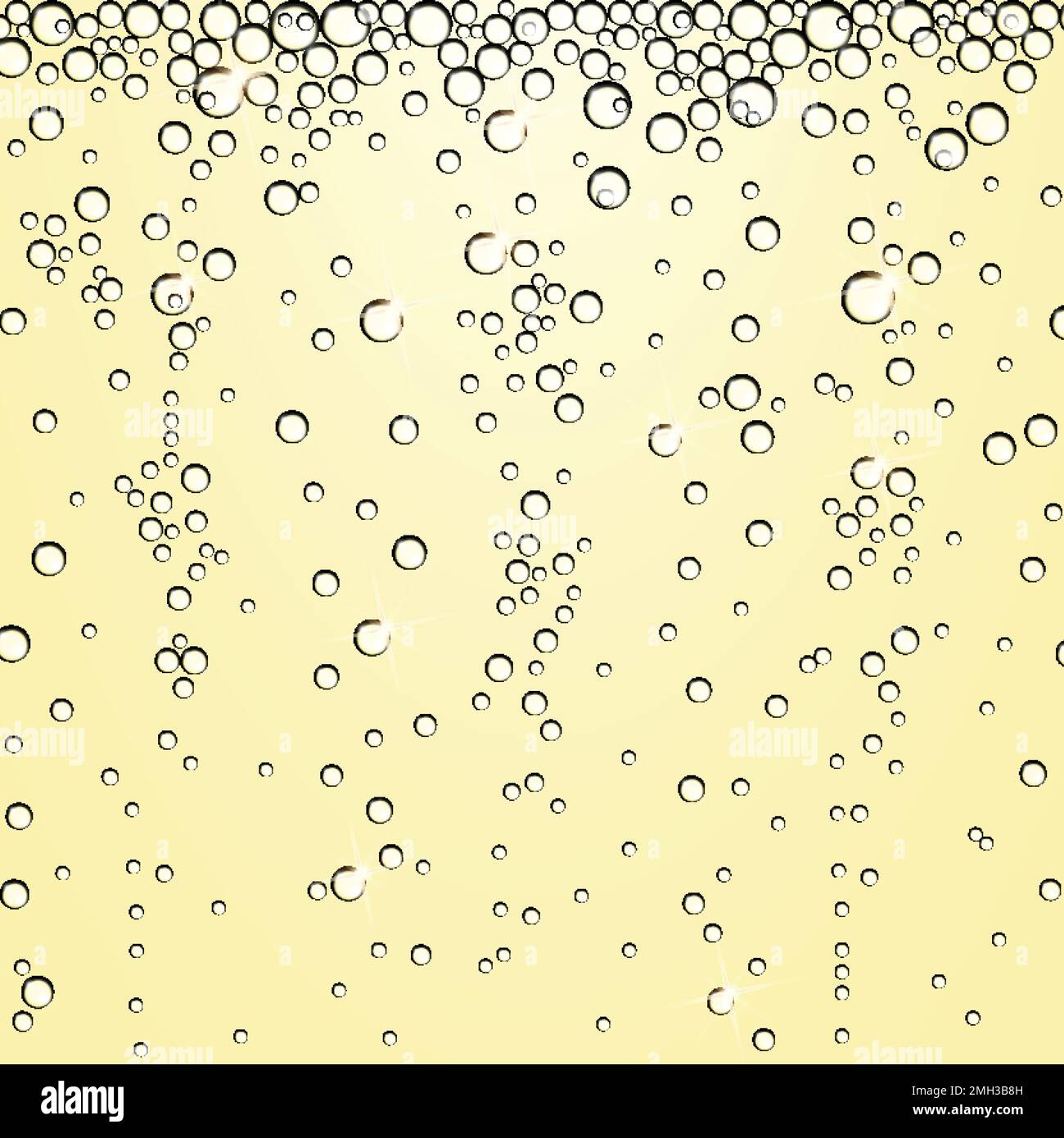 Champagne Bubbles Vector