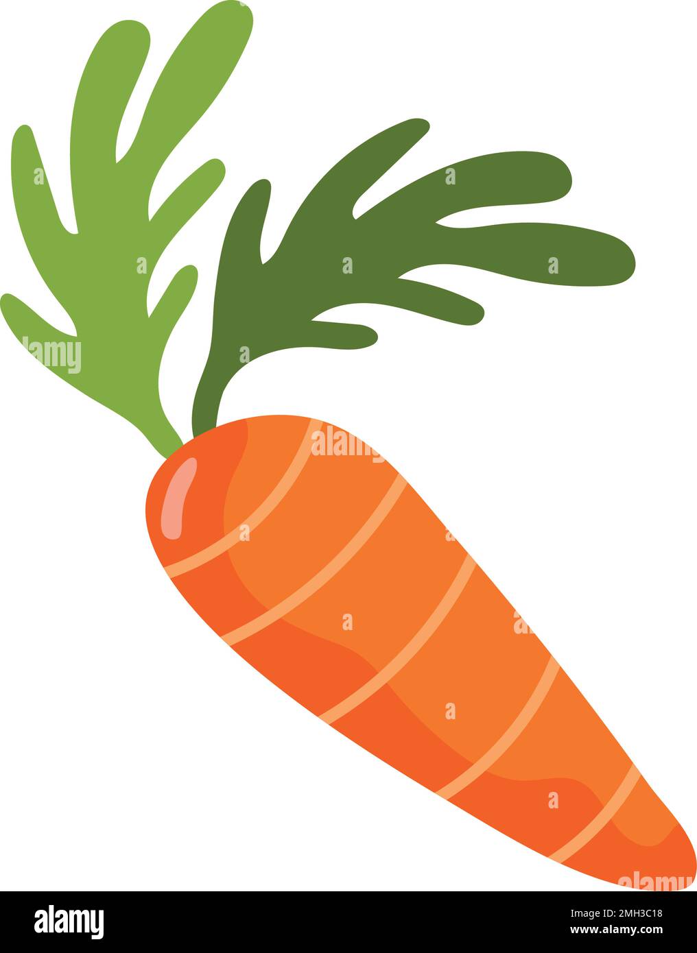 fresh carrot vegetable Stock Vector Image & Art - Alamy