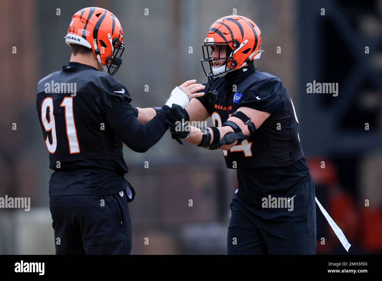 Cincinnati Bengals defensive end Trey Hendrickson, left, and defensive ...