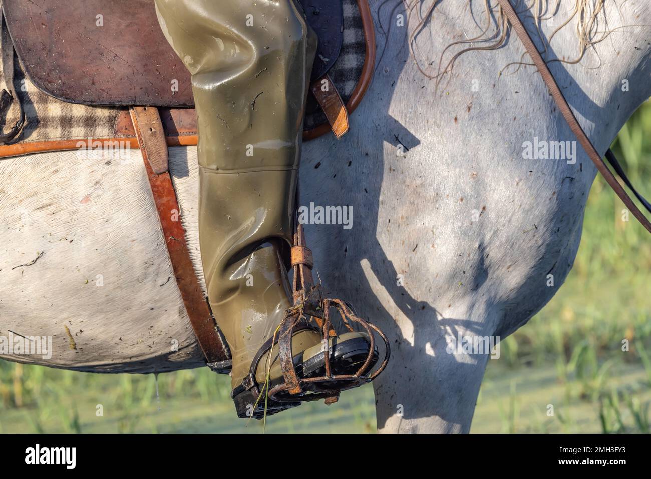 Saintes-Maries-de-la-Mer, Bouches-du-Rhône, Provence-Alpes-Cote d'Azur ...