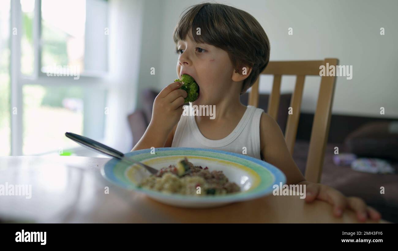 Child sitting at lunch table eating broccoli vegetable. Young boy eats ...