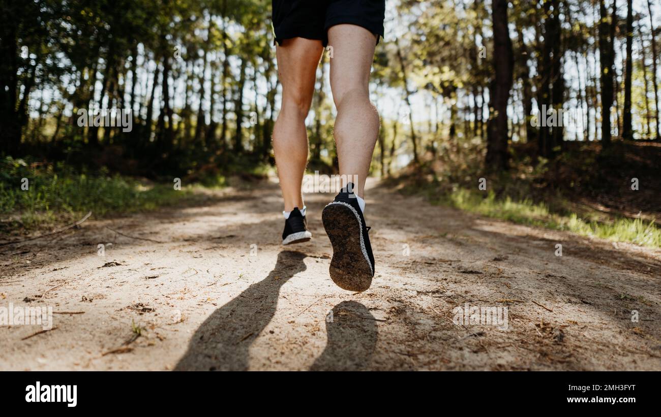 Forest steadicam running in view hi-res stock photography and images ...