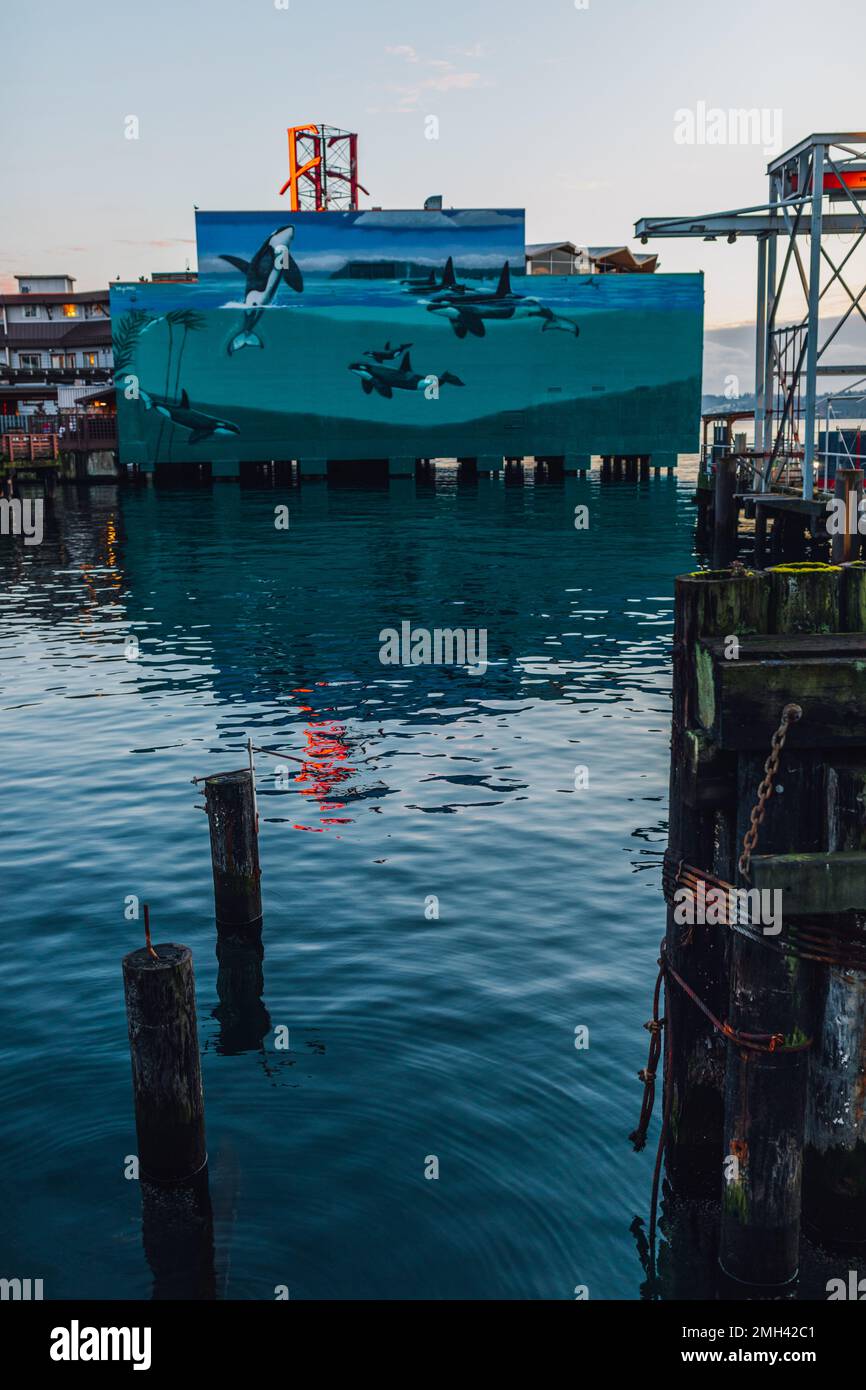 Edgewater Hotel orca mural on Alaskan Way during sunset, dusk Stock ...