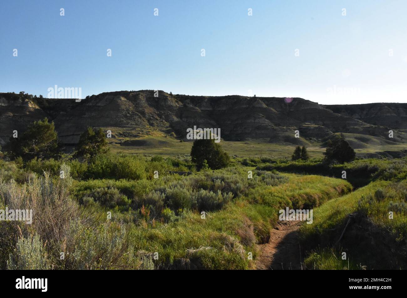 Scenic trodden hiking path and trail through rural North Dakota Stock ...