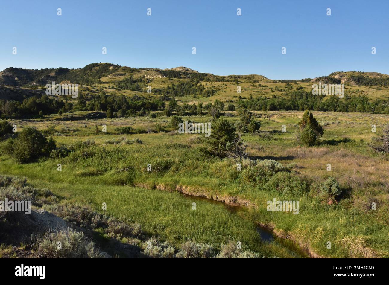 Gorgeous rural and remote landscape of scenic North Dakota with trails ...