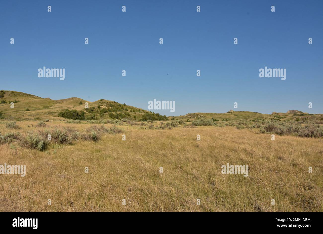 Countryside with prairie grasses and rolling hills in remote landscape ...