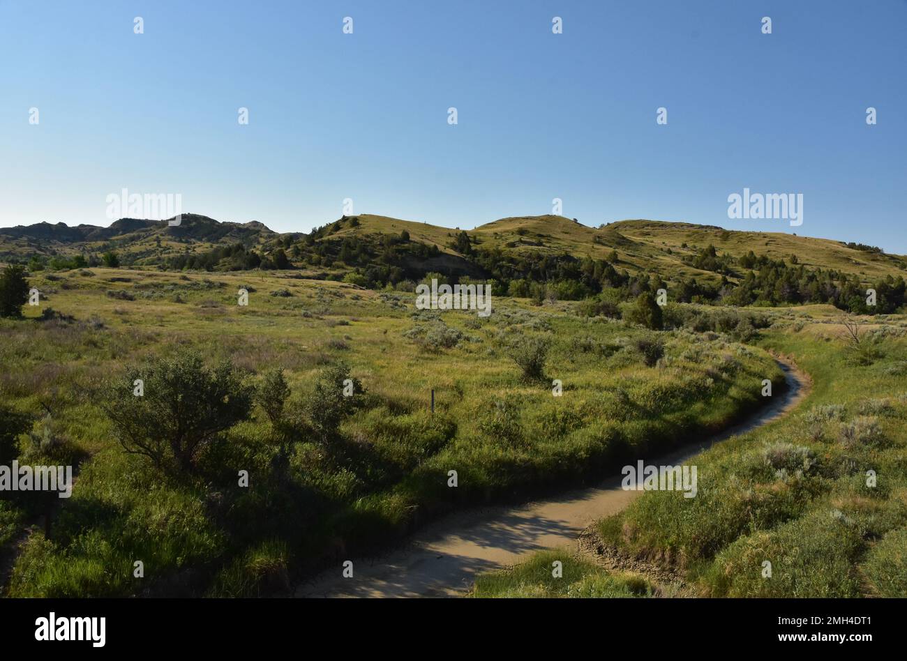Scenic lone tree loop trail in rural and remote North Dakota Stock ...