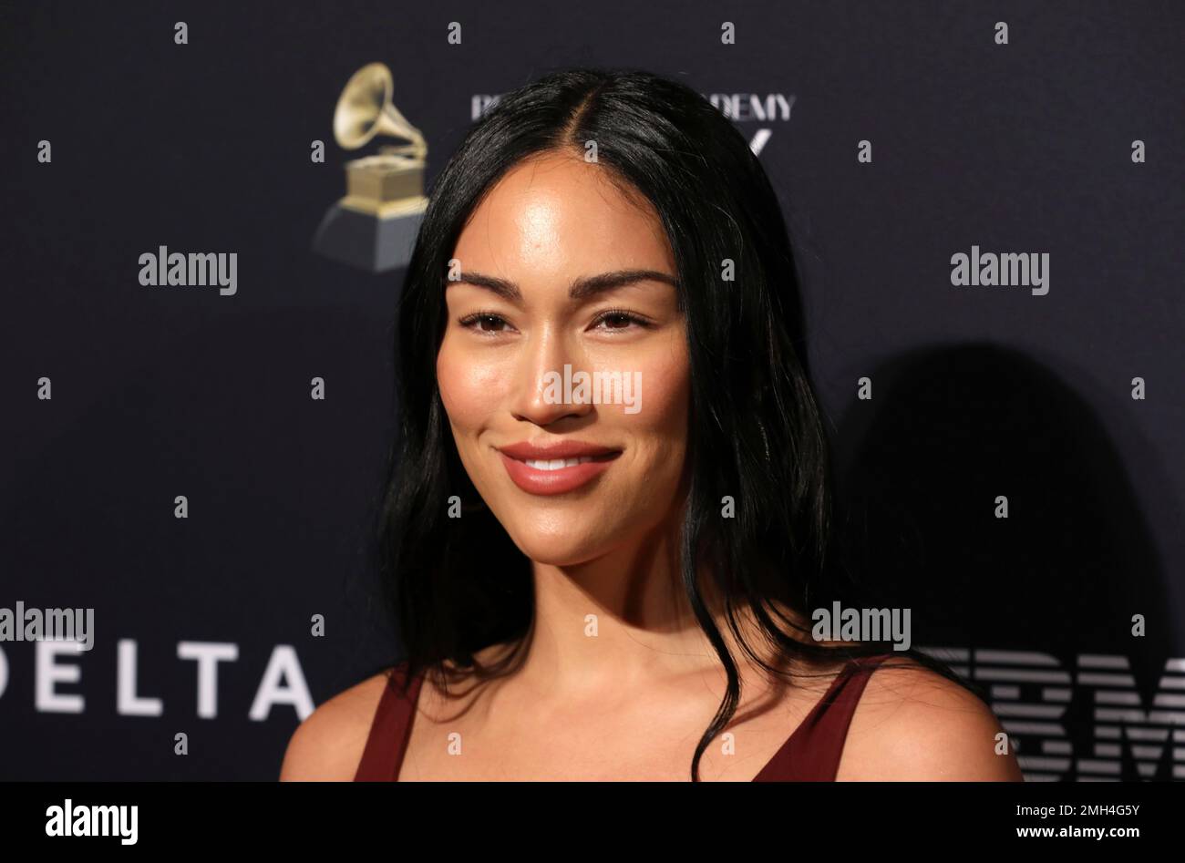 Stephanie Shepherd arrives at the Pre-Grammy Gala And Salute To ...