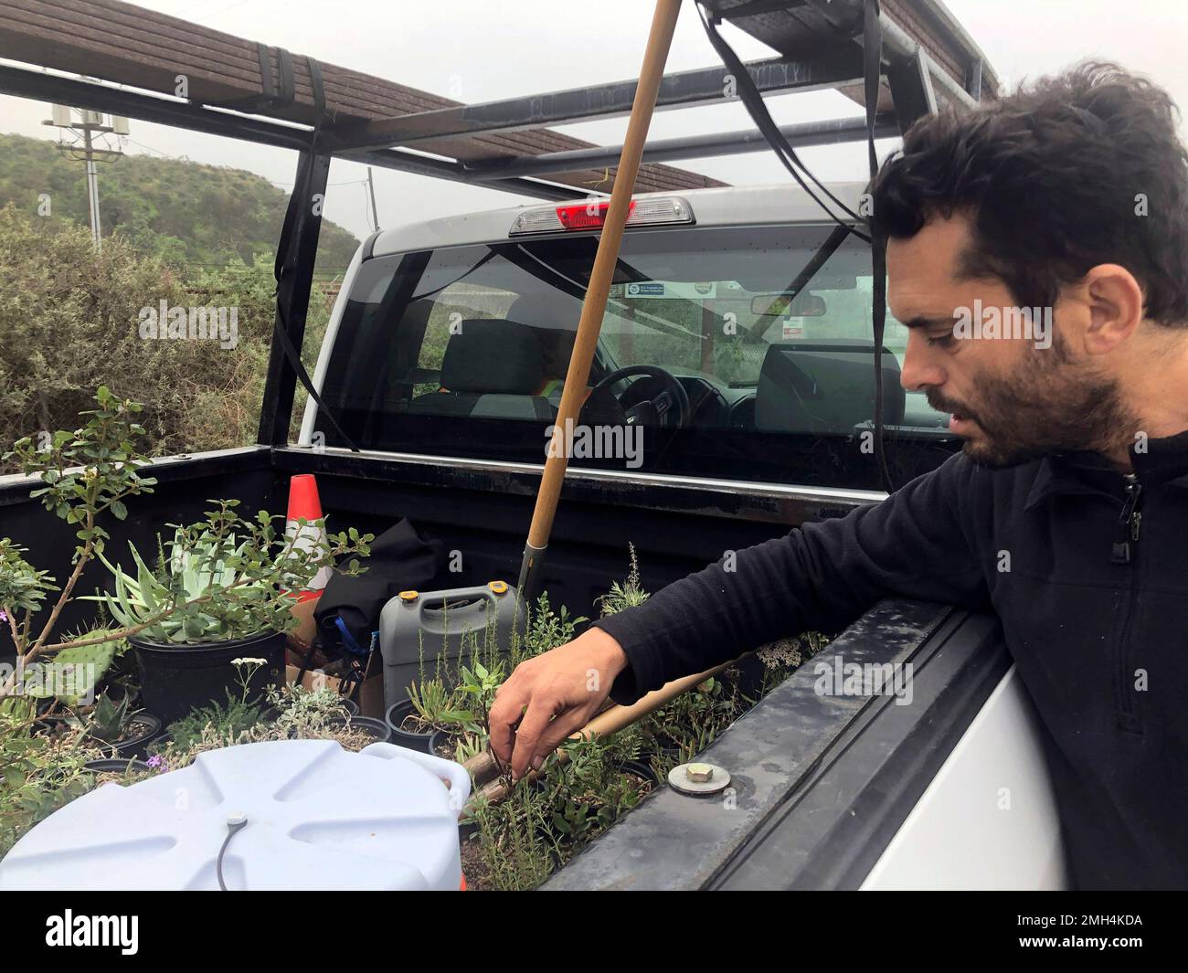 In San Diego, Daniel Watman reviews plants in a pickup truck before ...